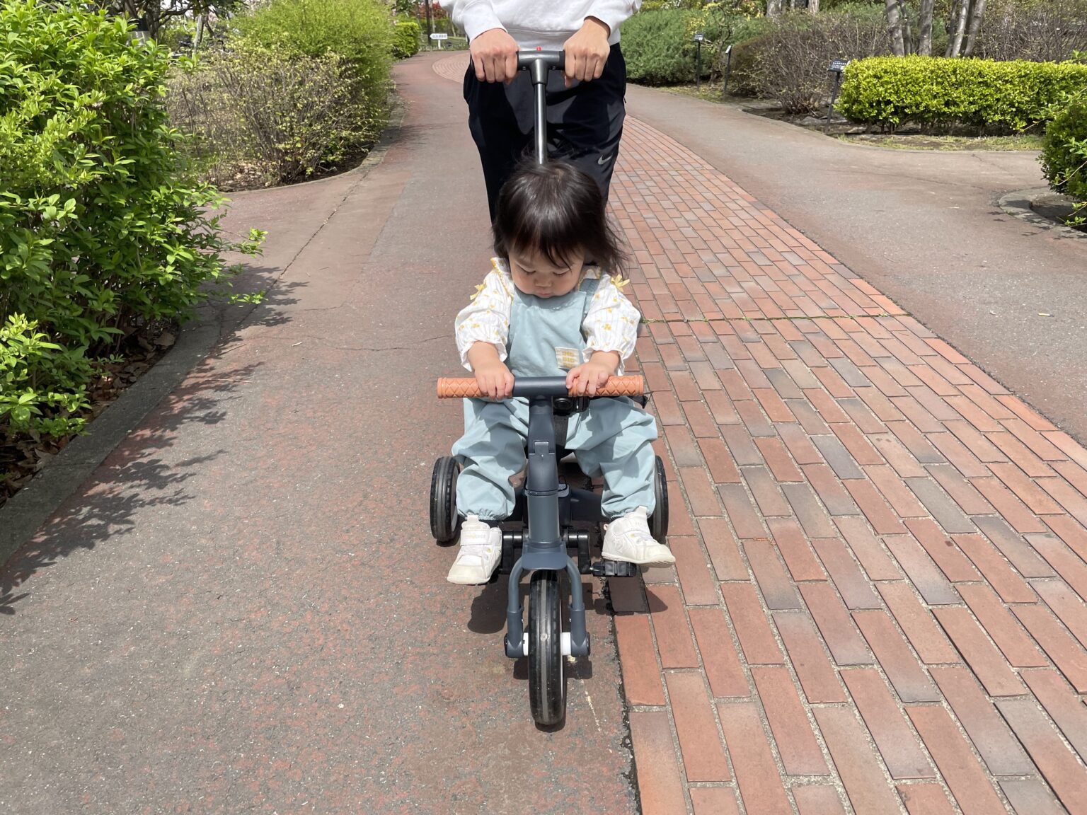 おすすめ三輪車BTMを徹底レビュー！長く使える5in1で1歳半の子どもも大喜び【2024年】 - ネコと住まう家づくり